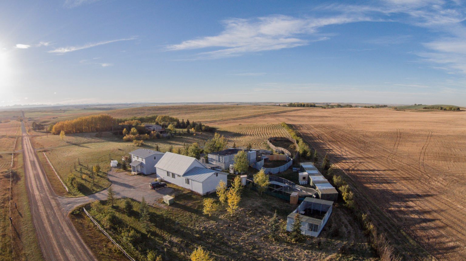 AIWC Centre Upkeep - Alberta Institute For Wildlife Conservation