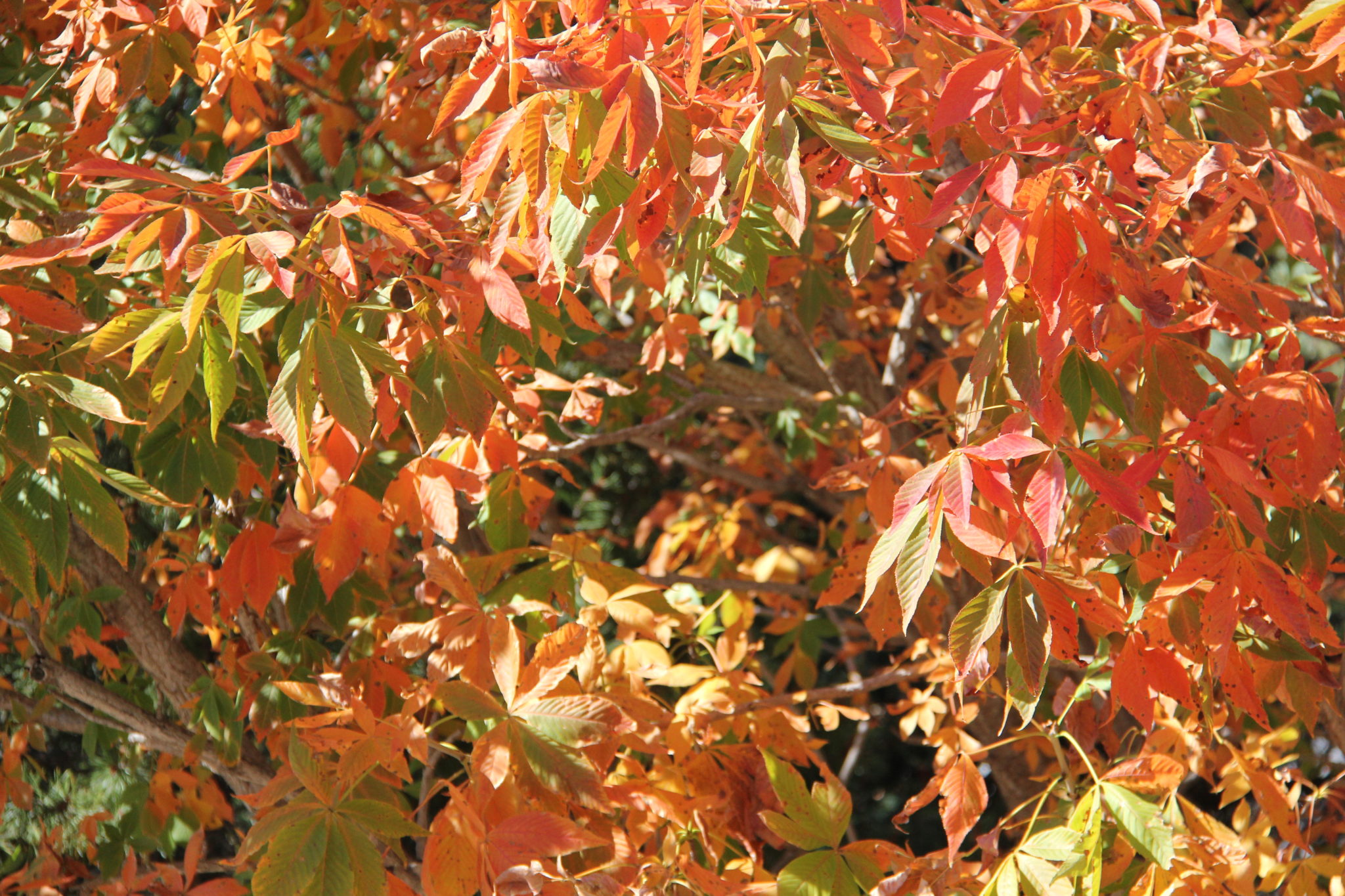 Preparing for the Changing Seasons - Alberta Institute For Wildlife ...