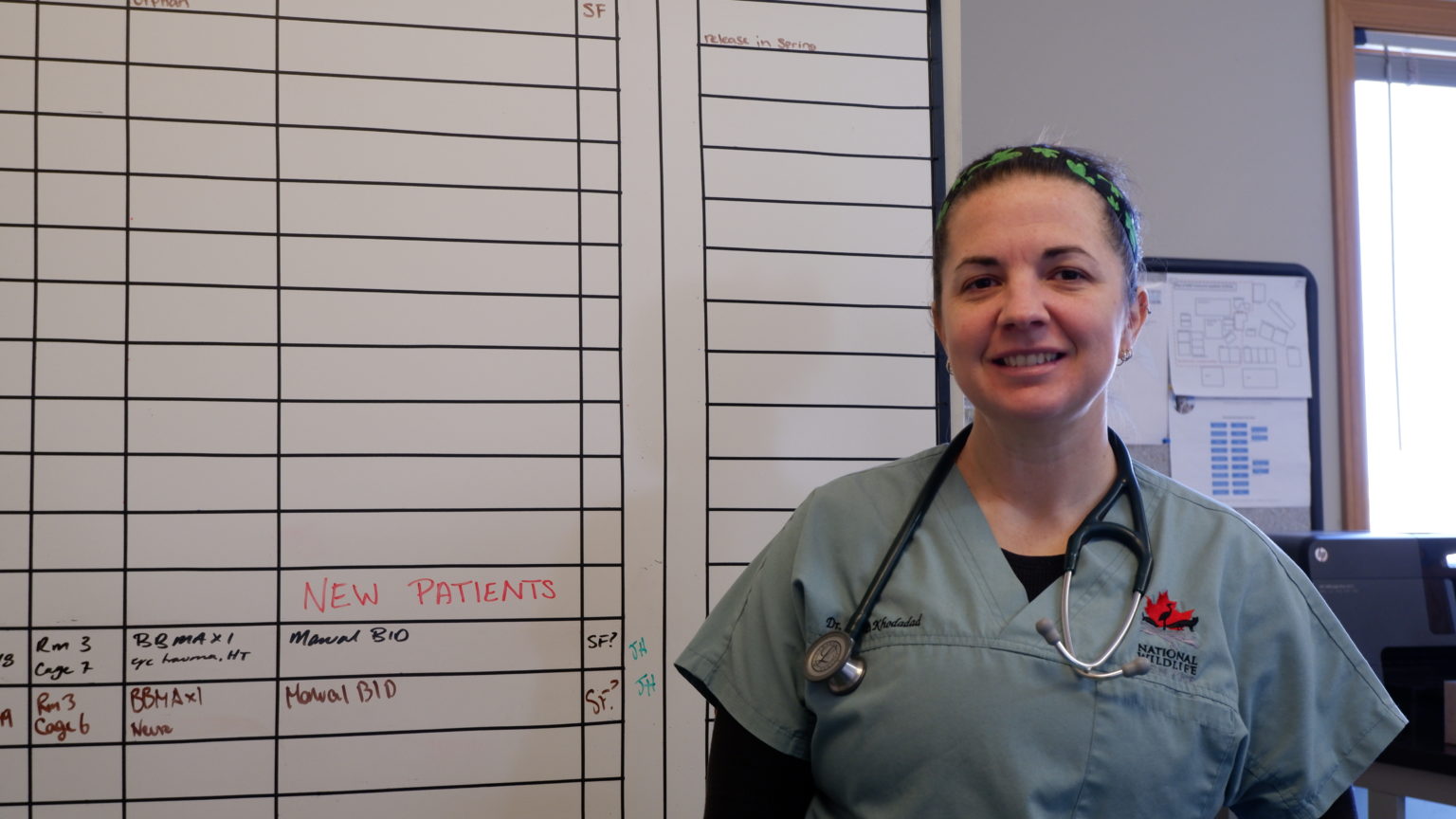 Feathers and Flight: An Interview with AIWC Veterinarian Dr. Jess ...