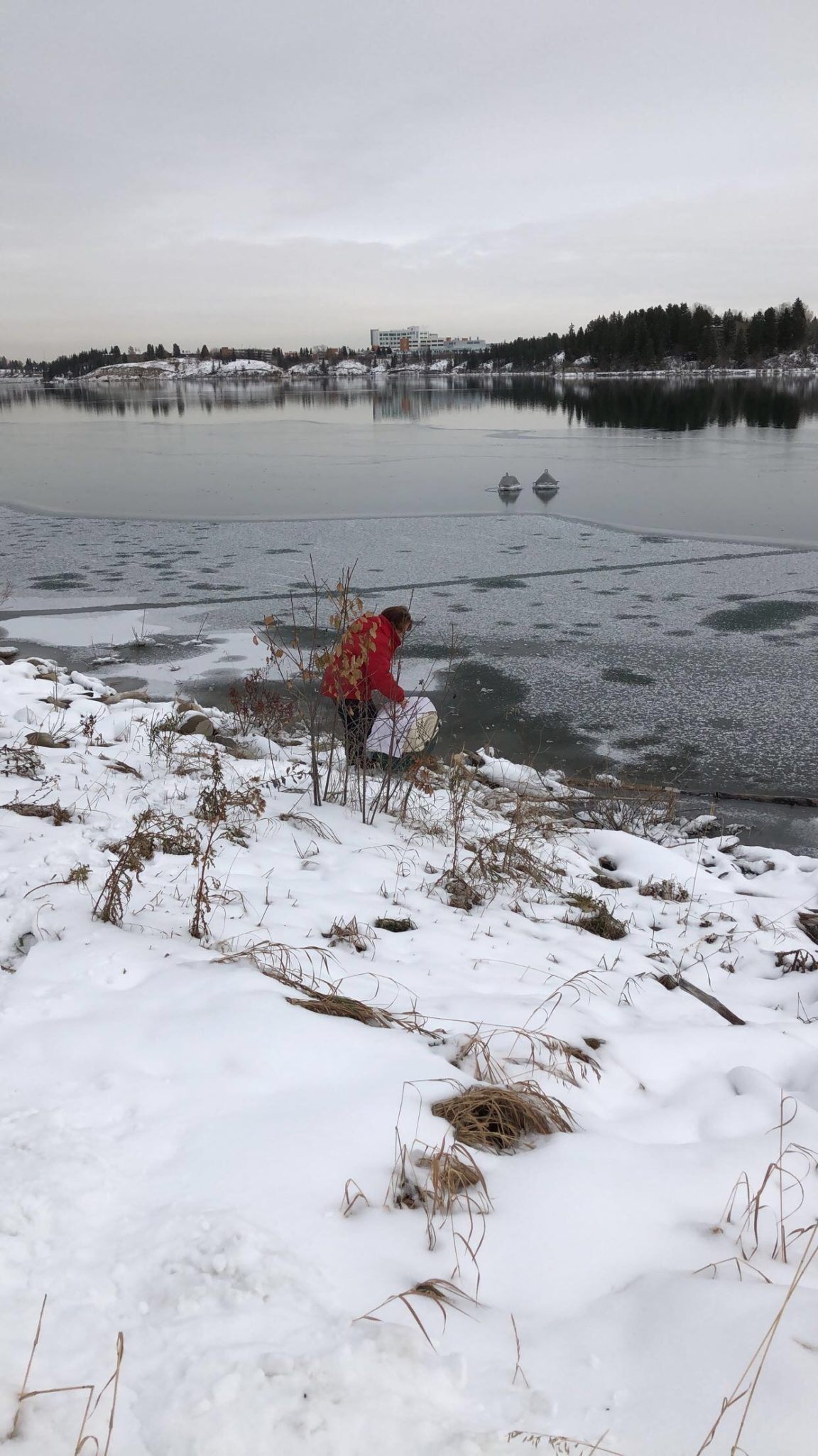 The Rescuers: Spotlight on an AIWC Volunteer - Alberta Institute For ...