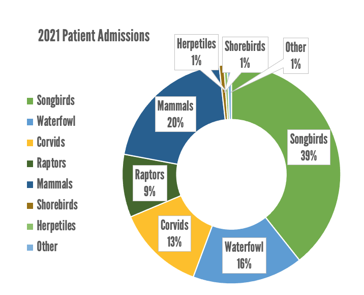 Support Us - Alberta Institute For Wildlife Conservation
