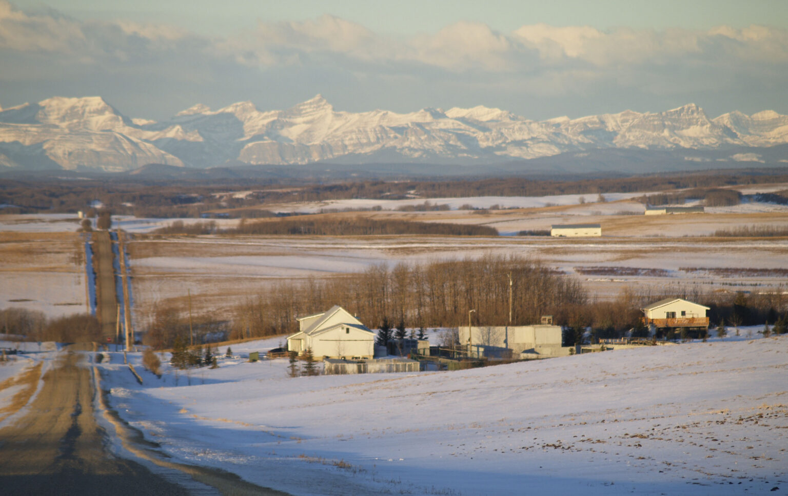 30 Years of Helping Wildlife - Alberta Institute For Wildlife Conservation