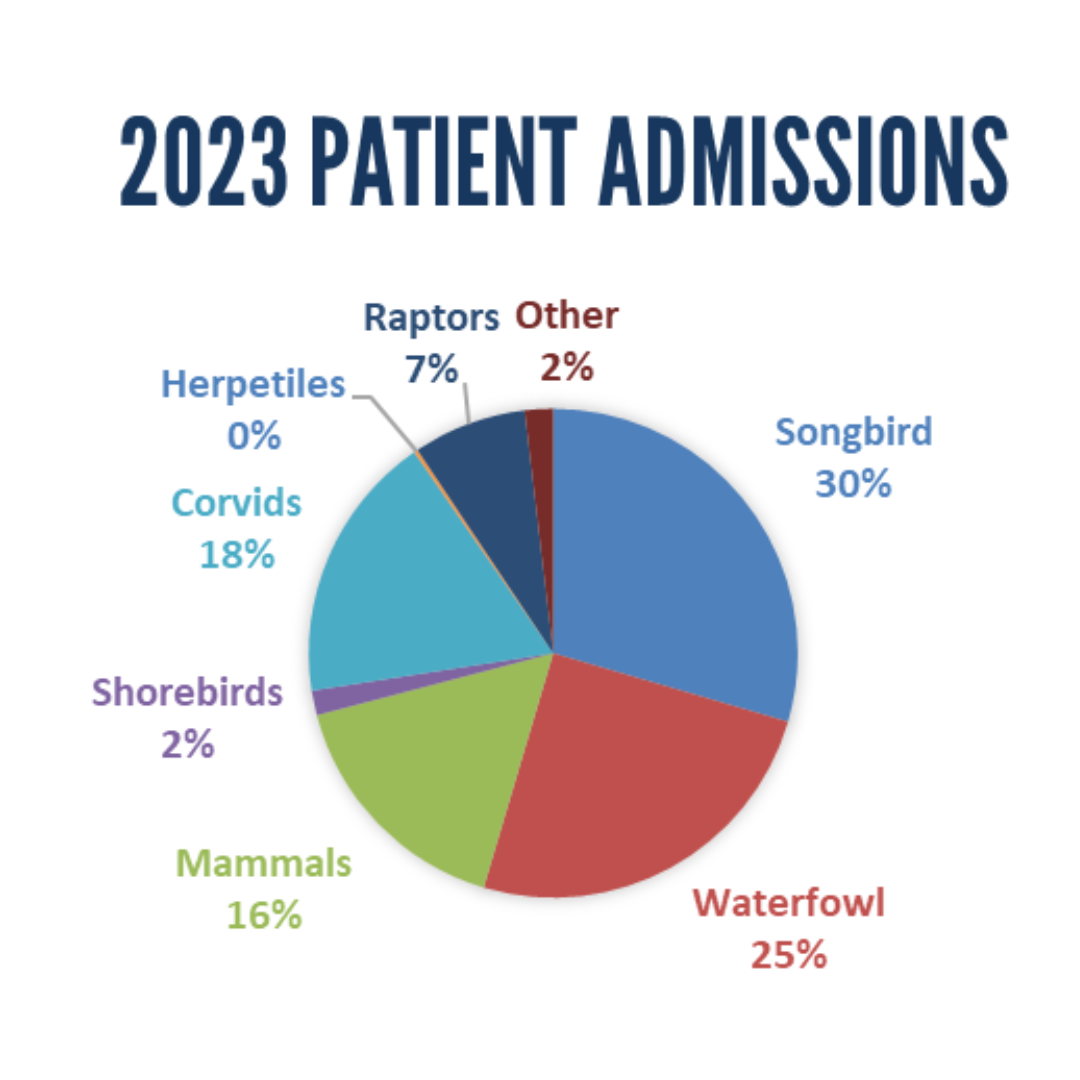 Support Us - Alberta Institute For Wildlife Conservation